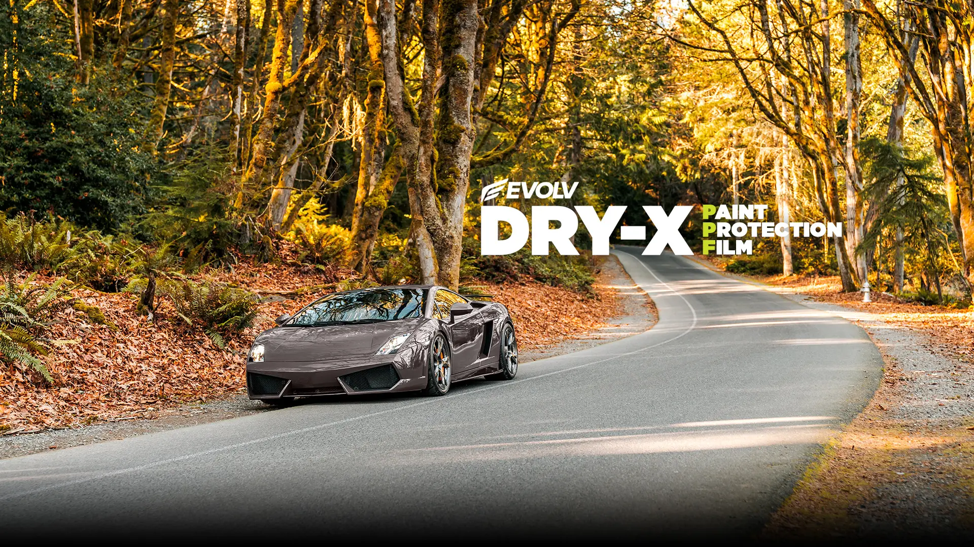 Dry-X Colors PPF | EVOLV